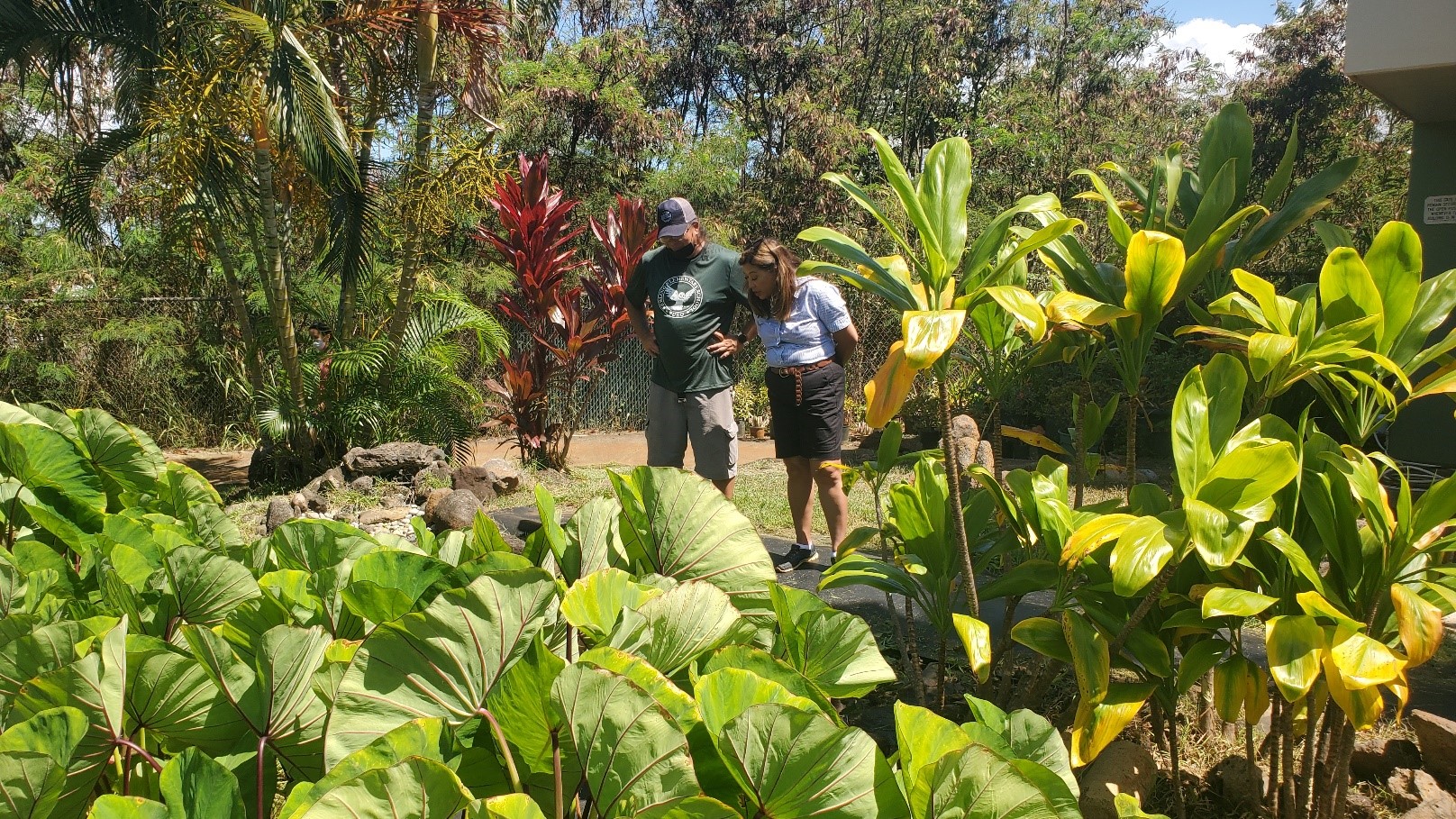 Aloha Team Community Day With Senator Misalucha – Crawford